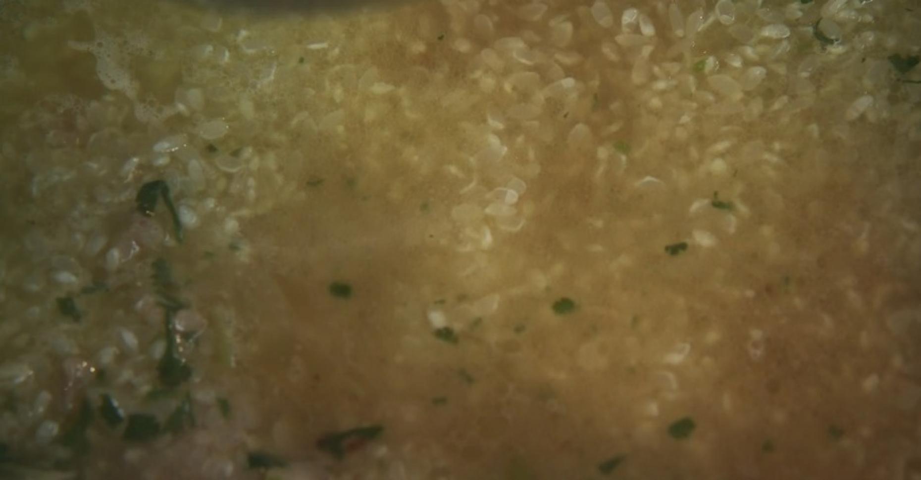 Бахш – рецепт пошаговый с фотографиями в домашних условиях